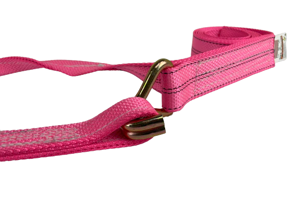 2" X 10' Sewn loop wheel strap w/ Wire hook – Everything Tie Down